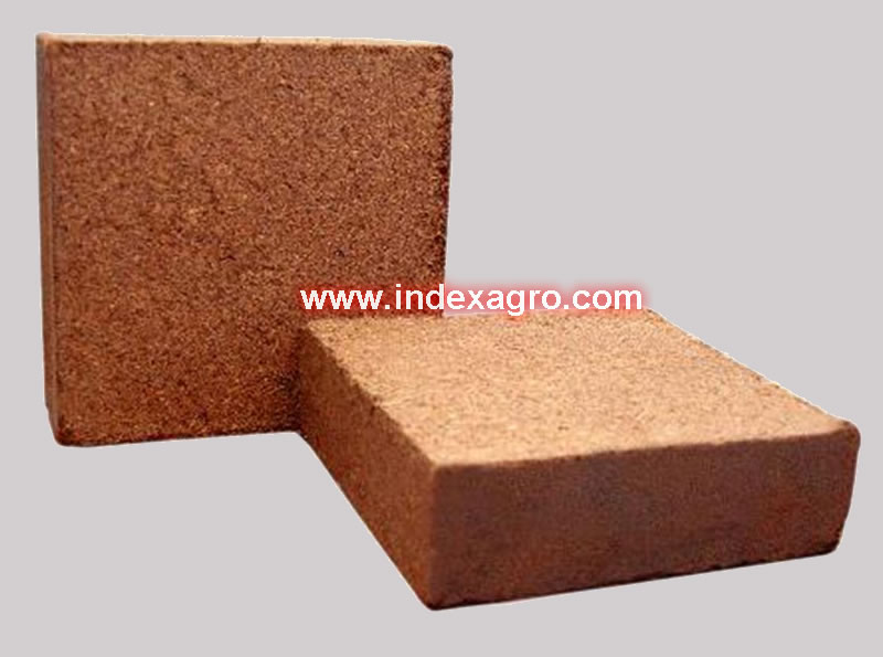 icoir 5kg block | Index International